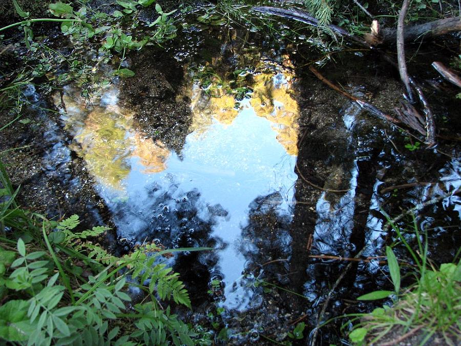 Reflection in a Tiny Stream Photograph by Chris Gudger | Fine Art America