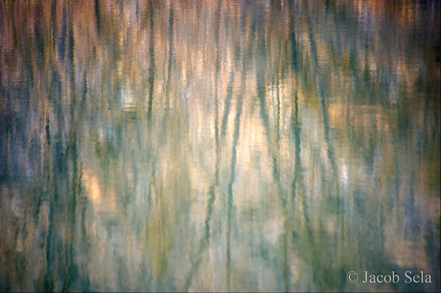 Reflection Pyrography by Jacob Sela - Fine Art America