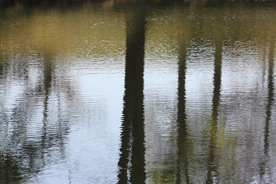 Reflection Photograph by Kris Quinn - Fine Art America