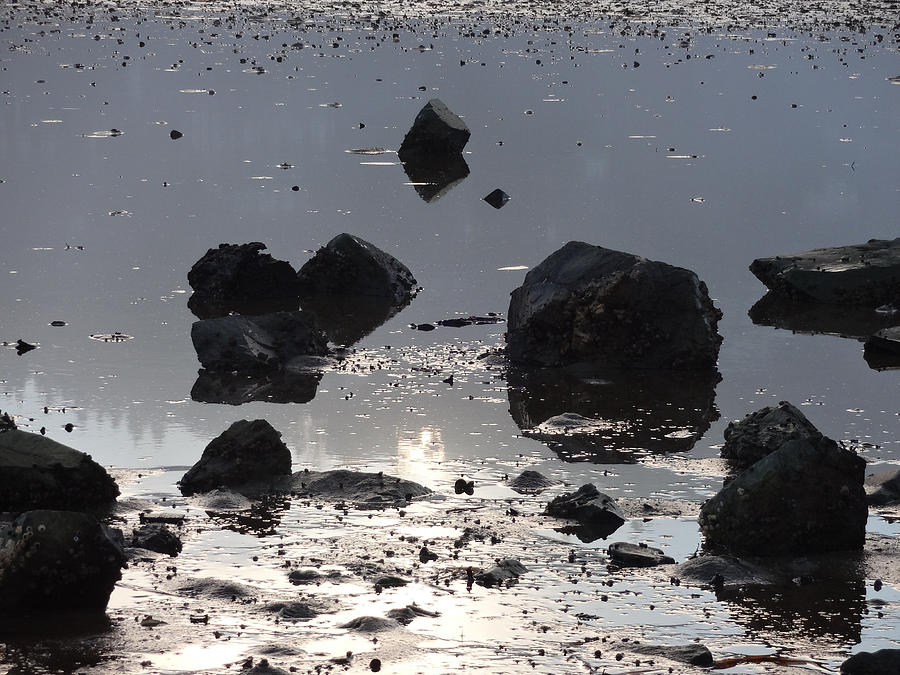 Reflection Photograph by Michael Schutte - Fine Art America