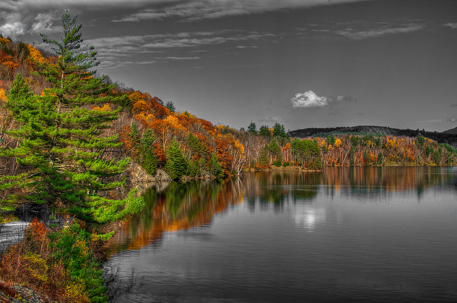 Reflection Photograph by Mike Horvath - Fine Art America