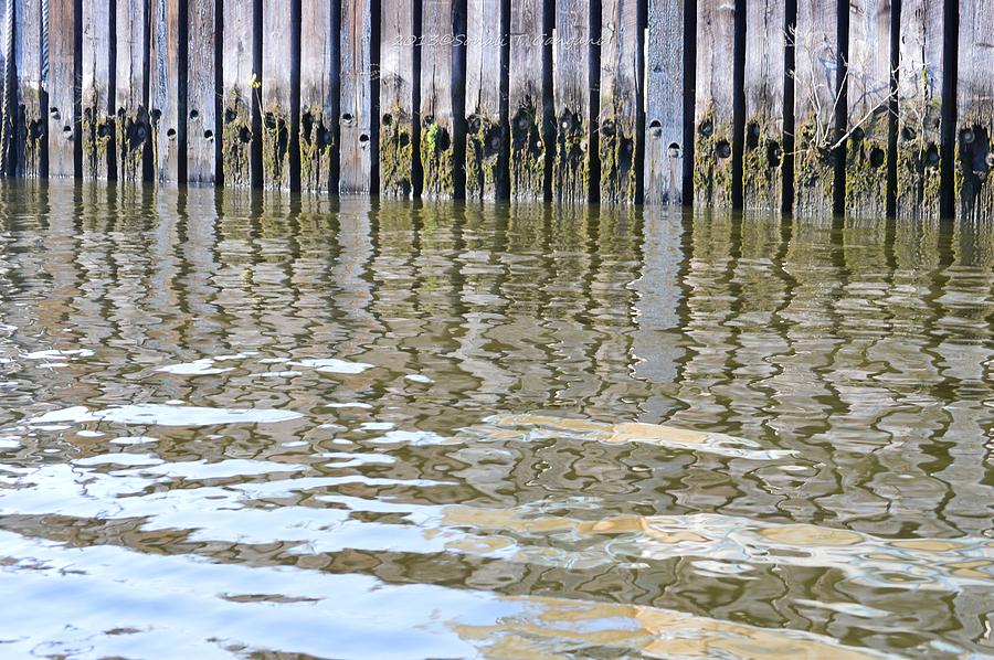 Reflection of Fence Photograph by Sonali Gangane - Fine Art America
