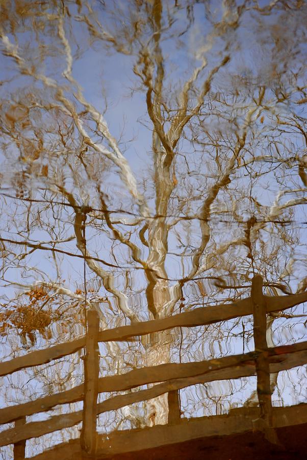 Reflection Photograph by Frozen in Time Fine Art Photography - Pixels