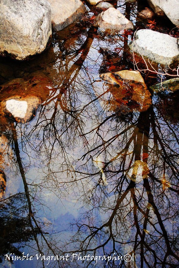 Reflection Photograph by Shaun Durant | Fine Art America