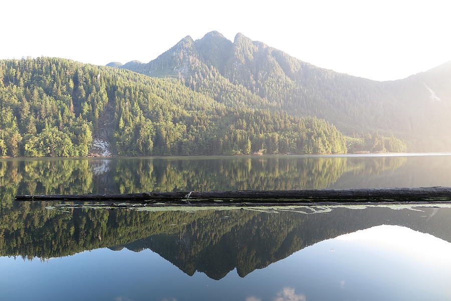 Reflection Photograph by Thomas Ahlfors - Fine Art America