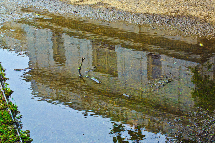 Reflection Through a Rain Puddle Photograph by John Hoey - Fine Art America