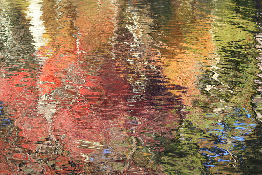Reflections in the Wind Photograph by Patricia Adams - Fine Art America
