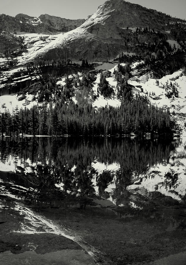 Reflections Photograph by Jake Ayala | Fine Art America