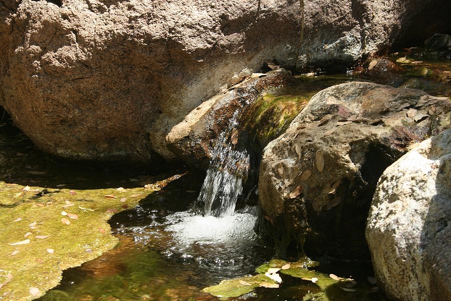 Refreshing Cascade Photograph by DL Harrison - Fine Art America