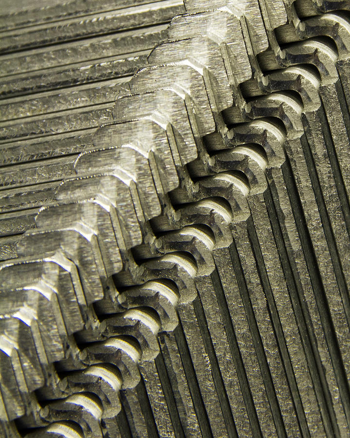 Regimented Photograph by Guy Shultz - Fine Art America