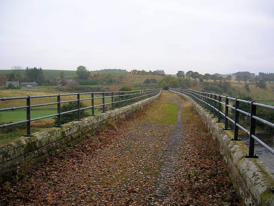 Repurposed Path Photograph by Tom Trimbath | Pixels
