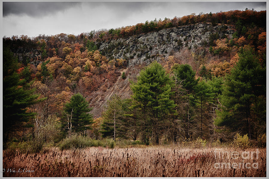 Rest Stop McDade Trail Photograph by Bill Cohen - Pixels