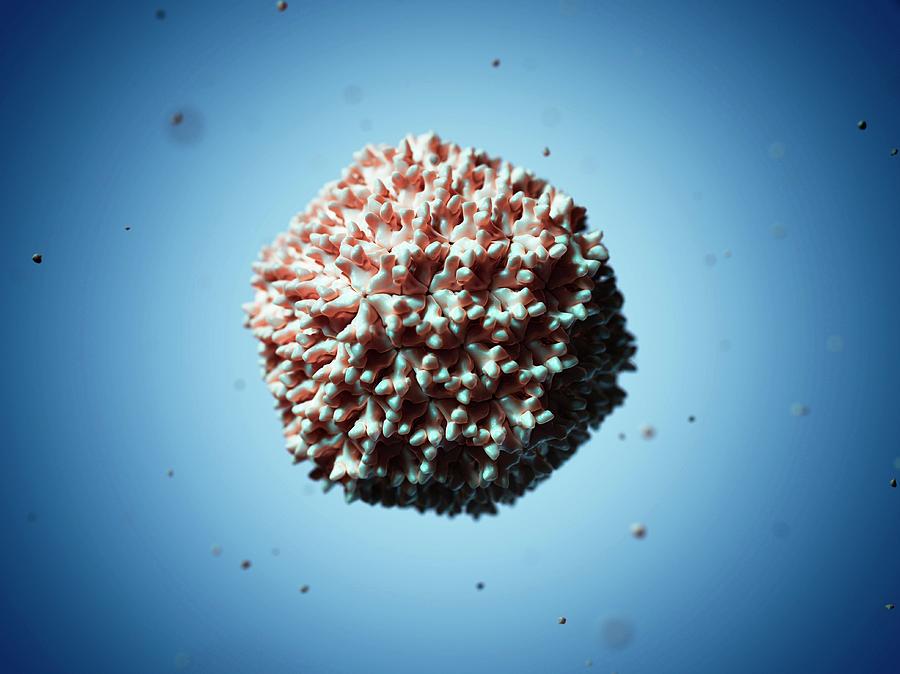 Rice Dwarf Virus Particle Photograph by Sciepro/science Photo Library - Pixels