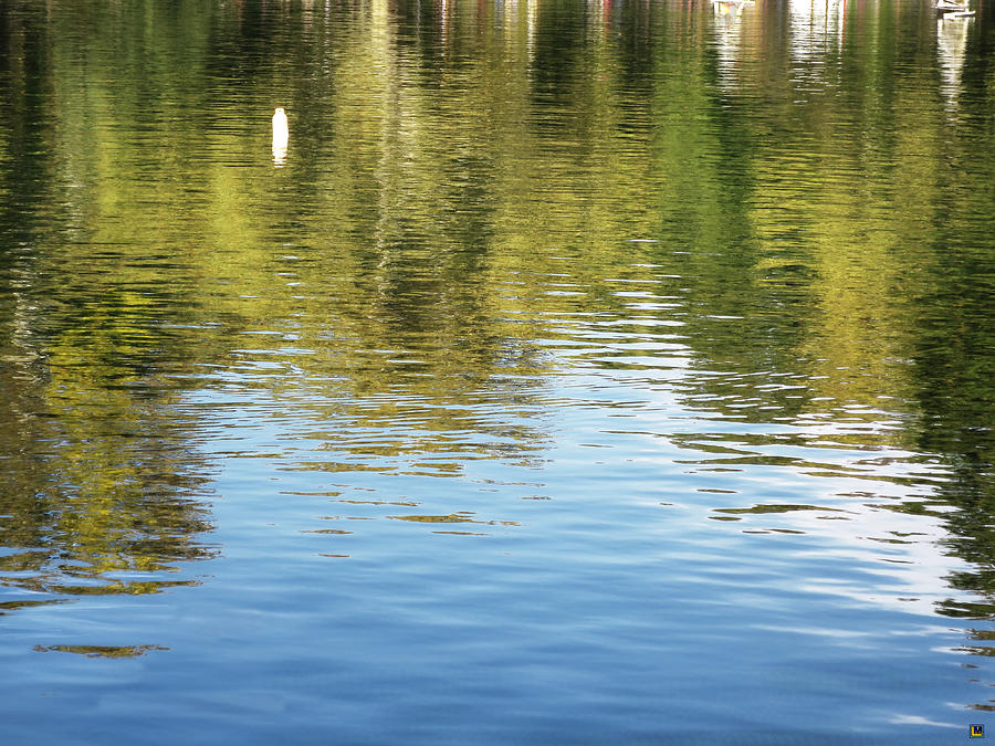 Rippled Reflections 5 Photograph by Muriel Levison Goodwin - Fine Art ...