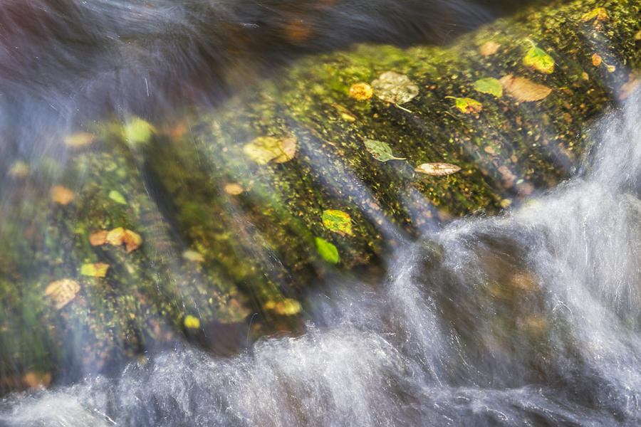 River Breamish Photograph by David Taylor - Fine Art America