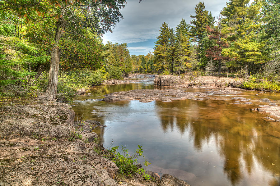 River Cedar Photograph by Jeffrey Ewig - Fine Art America