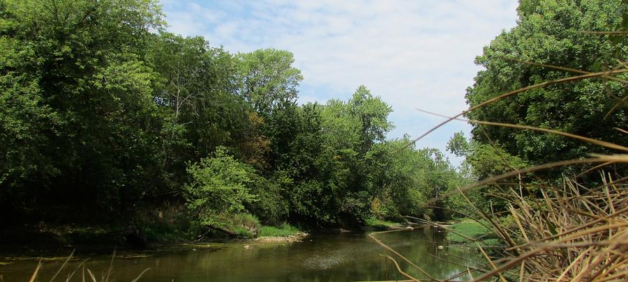 River Photograph by Eric Noa - Fine Art America