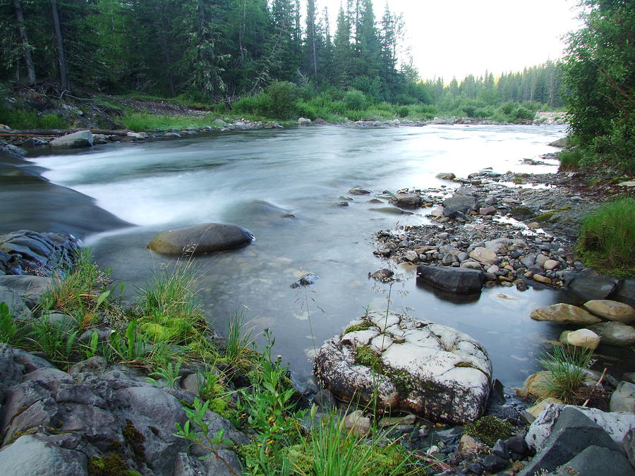 Trout Stream 004 Photograph by Phil And Karen Rispin - Fine Art America