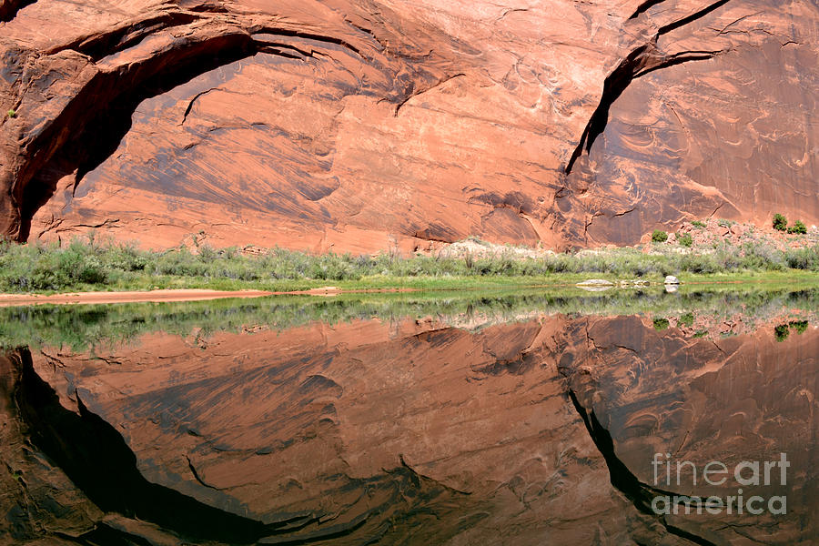 River reflection Photograph by David Land - Fine Art America