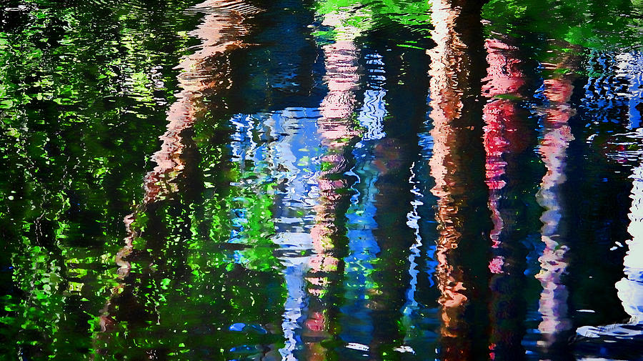 River Reflection Photograph by Dulce Levitz - Fine Art America