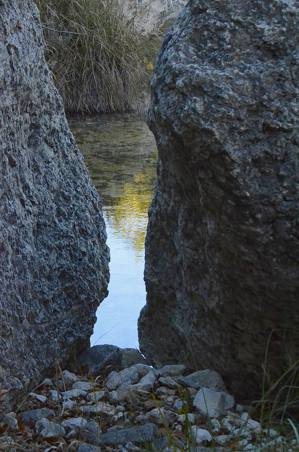 River Side Split II Photograph by Ricky Cerda - Fine Art America