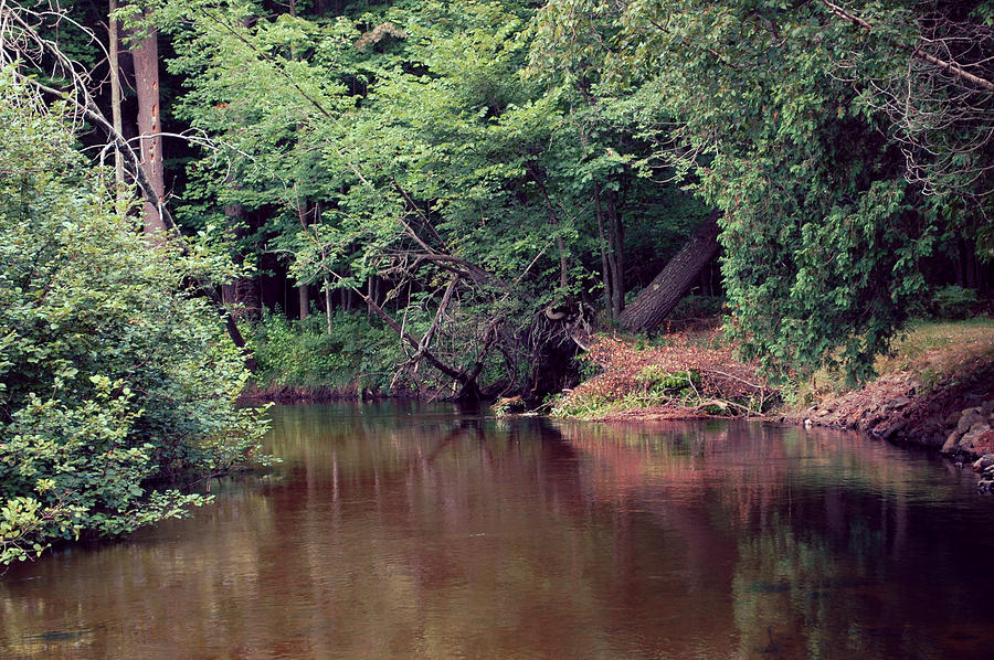 River View Photograph by Daniel Martinez - Fine Art America