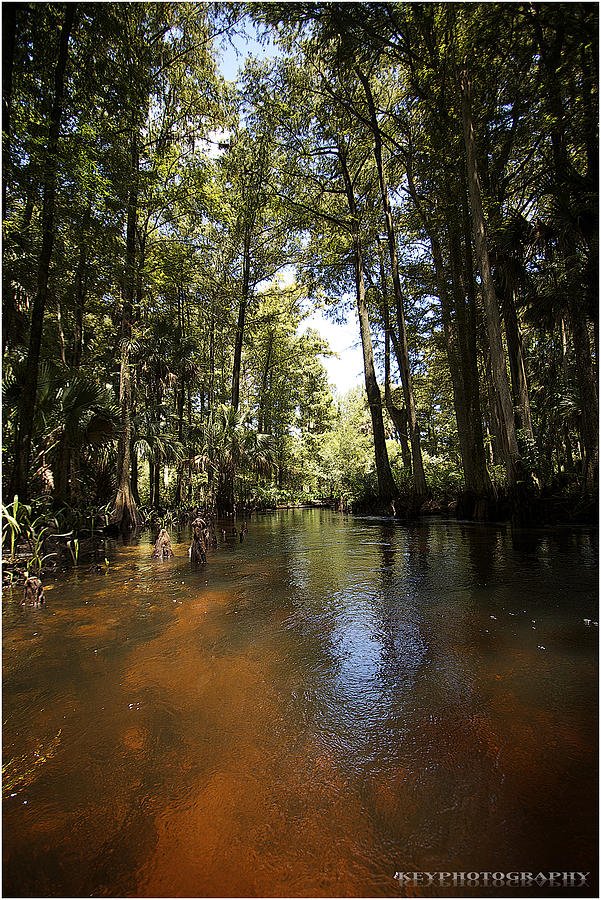 Riverbend Photograph by Michael Key - Fine Art America