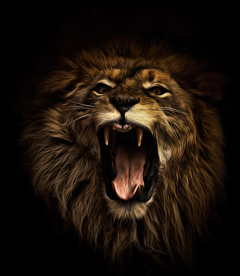 Roar Photograph by Gary Smith - Fine Art America