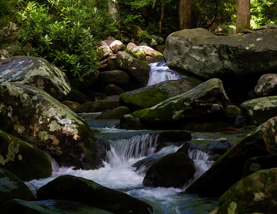 Roaring Fork Stream Digital Art by Gary Rieks - Fine Art America