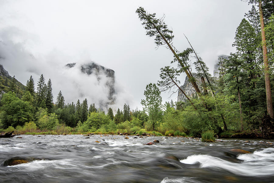 Roaring Merced River Flows By A Hidden Photograph by Jacob Bodkin ...