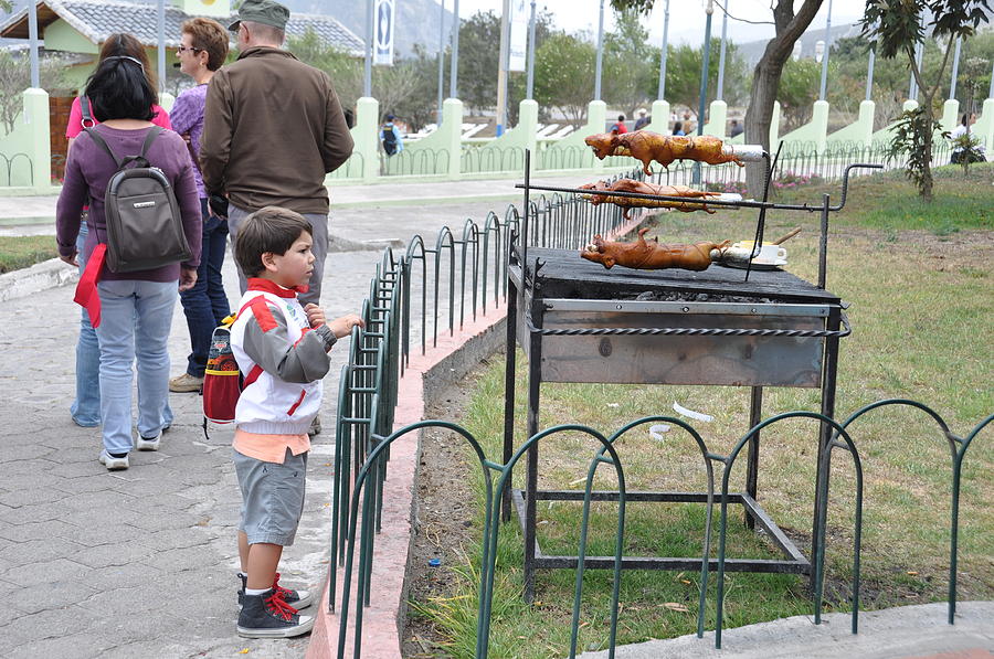 Roaster Photograph by David Flitman - Fine Art America