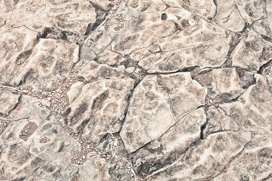 Rock pattern Photograph by Tom Gowanlock - Fine Art America