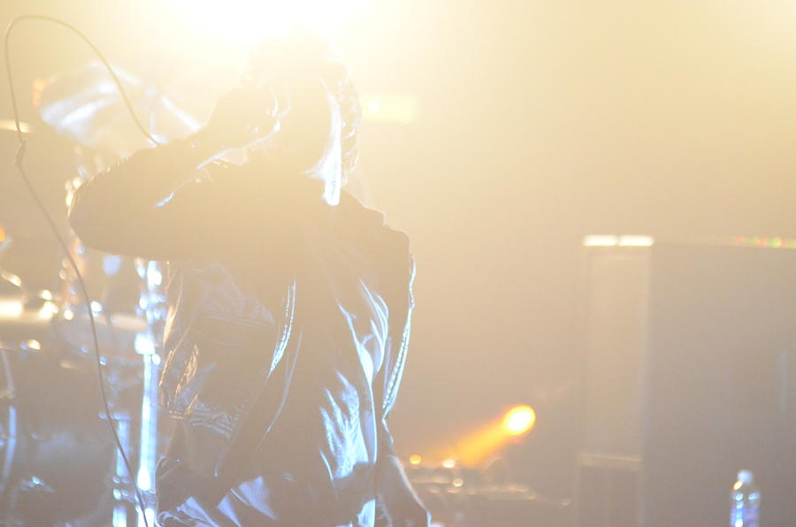 Rock Singer Photograph by Daniel Purifoy - Fine Art America