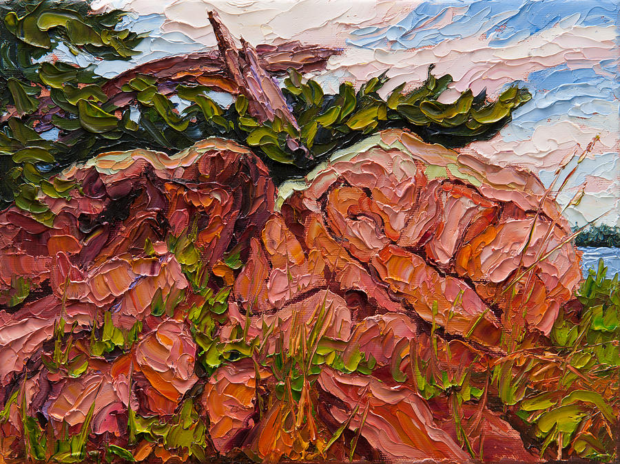 Rock study Painting by Rob MacArthur - Pixels