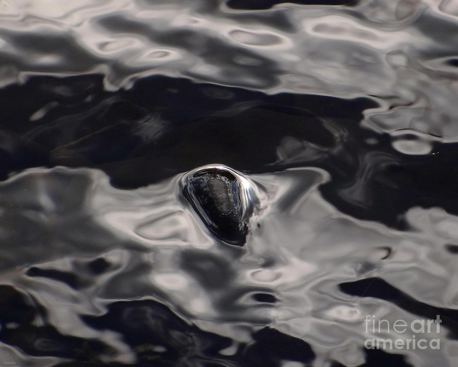Rocks in Ripple Photograph by Victory Martin - Fine Art America