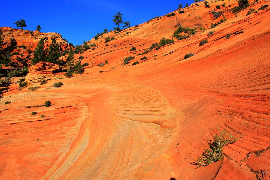 Rockscape Photograph by Douglas Settle - Fine Art America