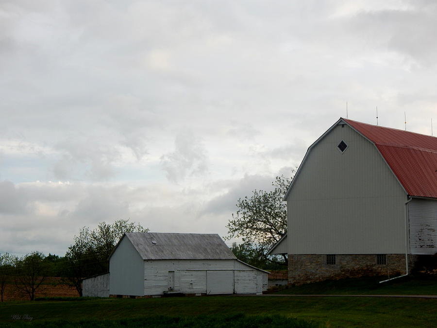 Roiling Photograph by Wild Thing - Fine Art America