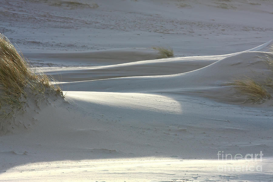 Rolling dune forms Photograph by Jan Brons - Fine Art America