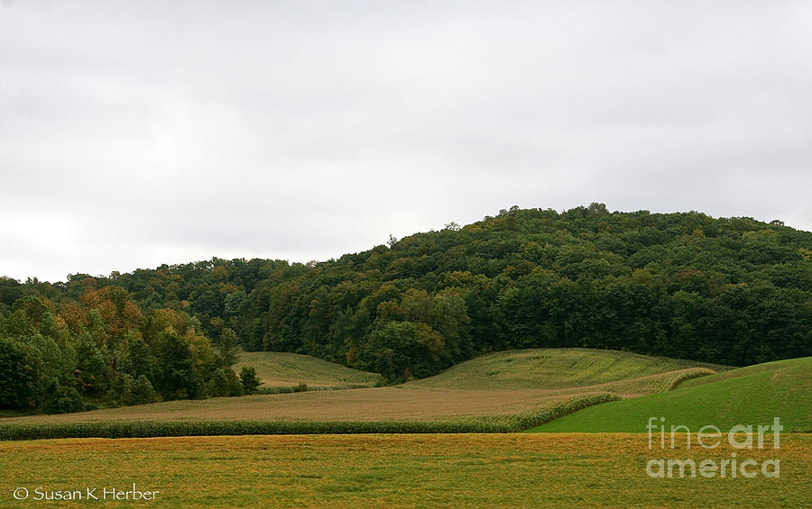 Rolling Fields Photograph by Susan Herber - Fine Art America