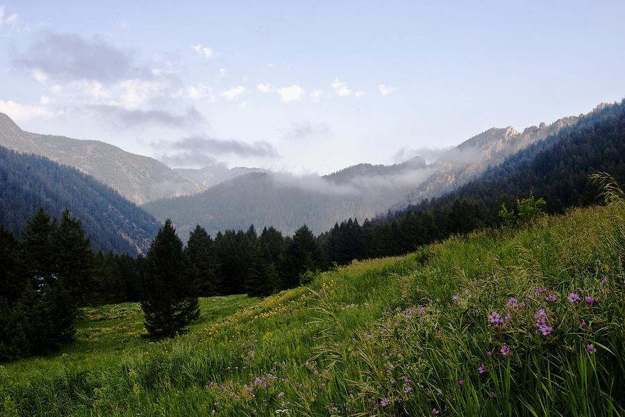 Rolling Meadow Photograph by John Reed | Fine Art America