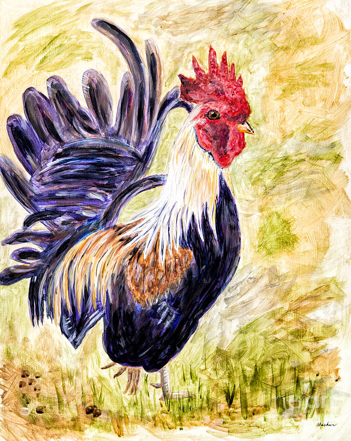 Rooster Painting by Timothy Hacker | Fine Art America