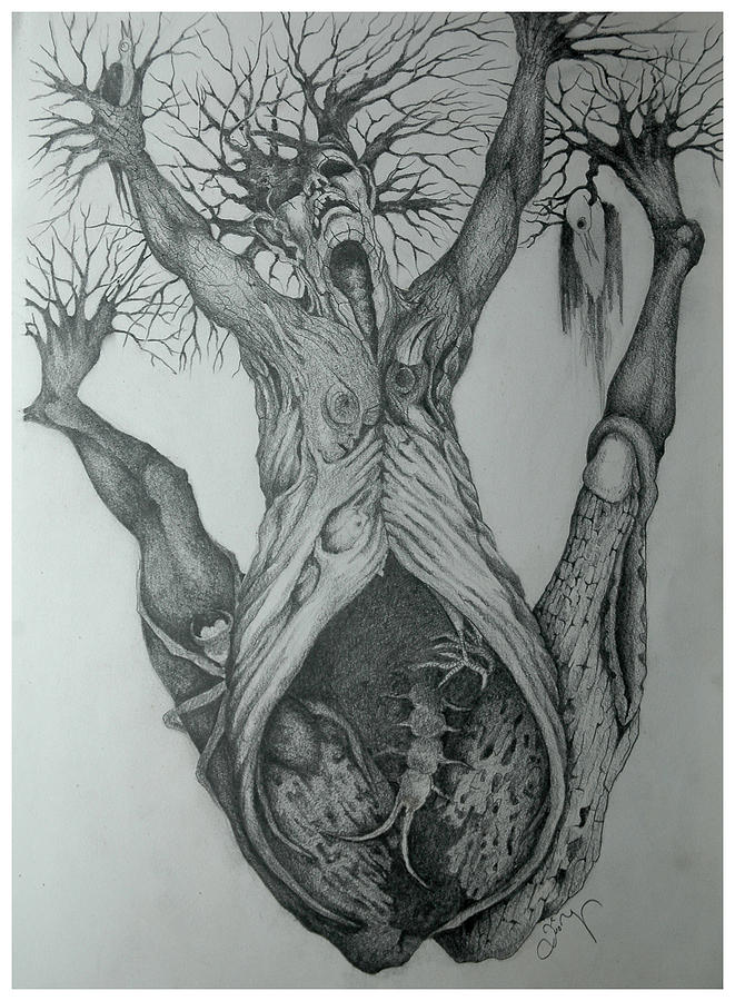 Rootless Tree Study Drawing by Sooraj Kannan - Fine Art America