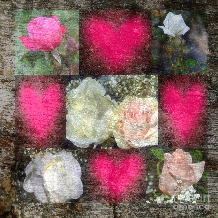 Rose Design Collage Photograph by Eva Thomas - Fine Art America