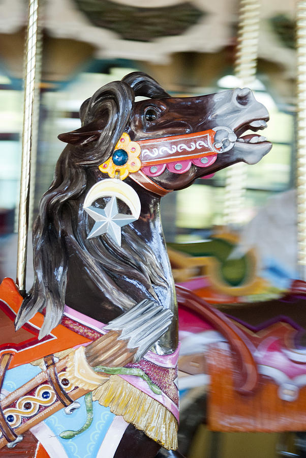 Round and round Photograph by Janet Capps - Fine Art America