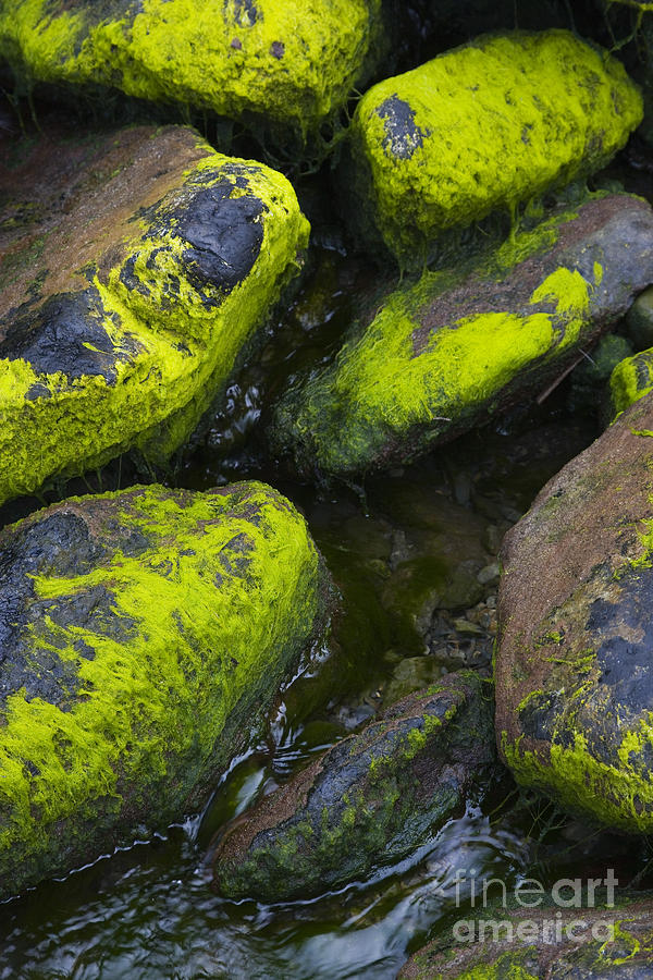 Rounded Rocks Photograph by Tim Grams - Fine Art America