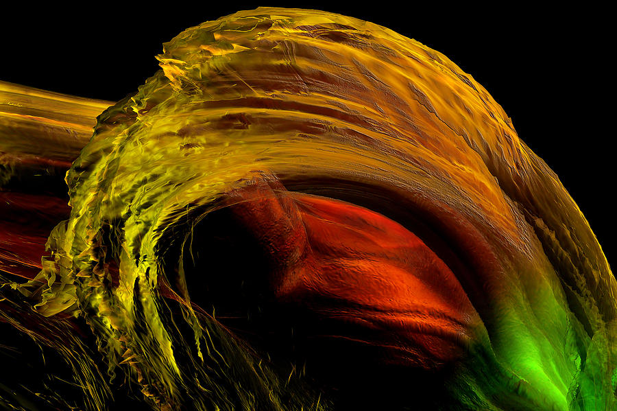 Rousing Digital Art by Peter Hinderberger - Fine Art America