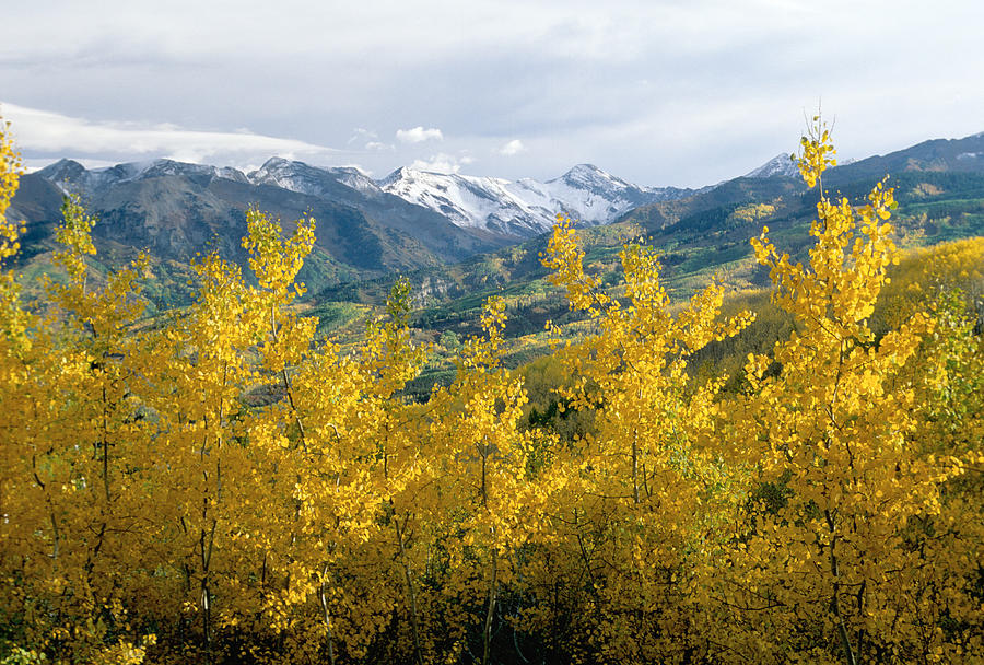 Ruby Mountains Photograph by James Steinberg - Fine Art America