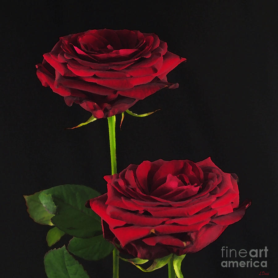 Ruby Red Photograph by Wobblymol Davis | Fine Art America