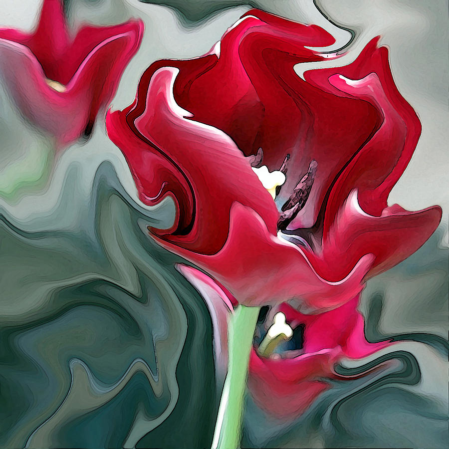 Ruby Red Slippers 1 Digital Art by Suzy Freeborg - Fine Art America