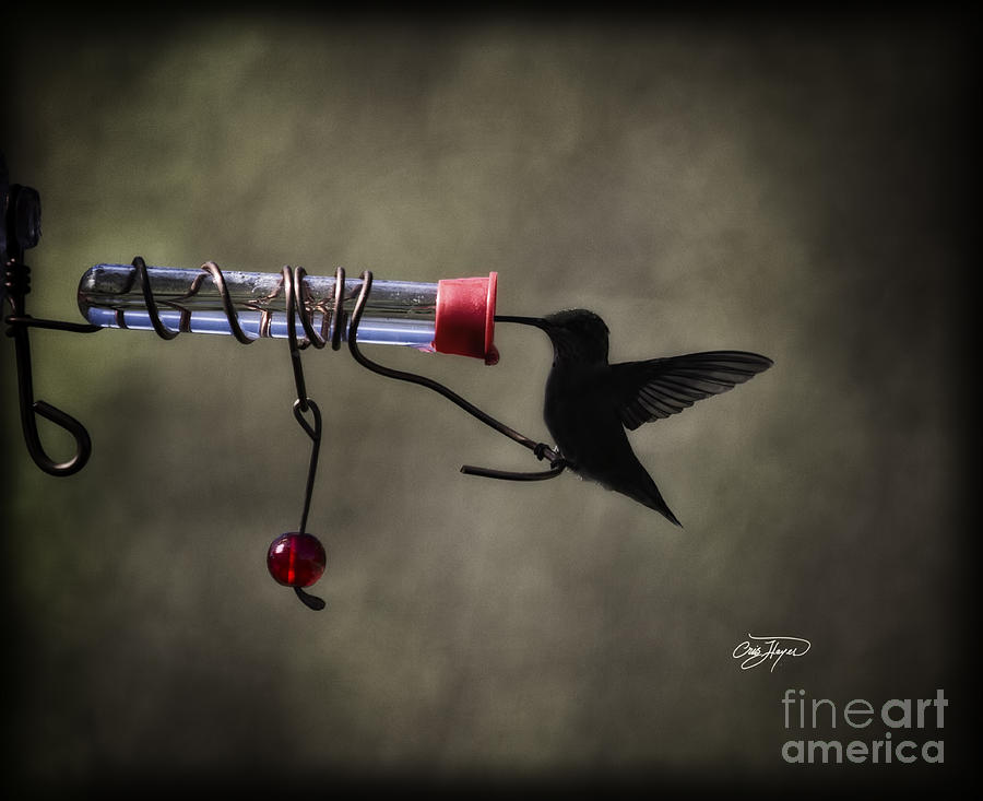 Ruby Silhouette Painting by Cris Hayes | Pixels